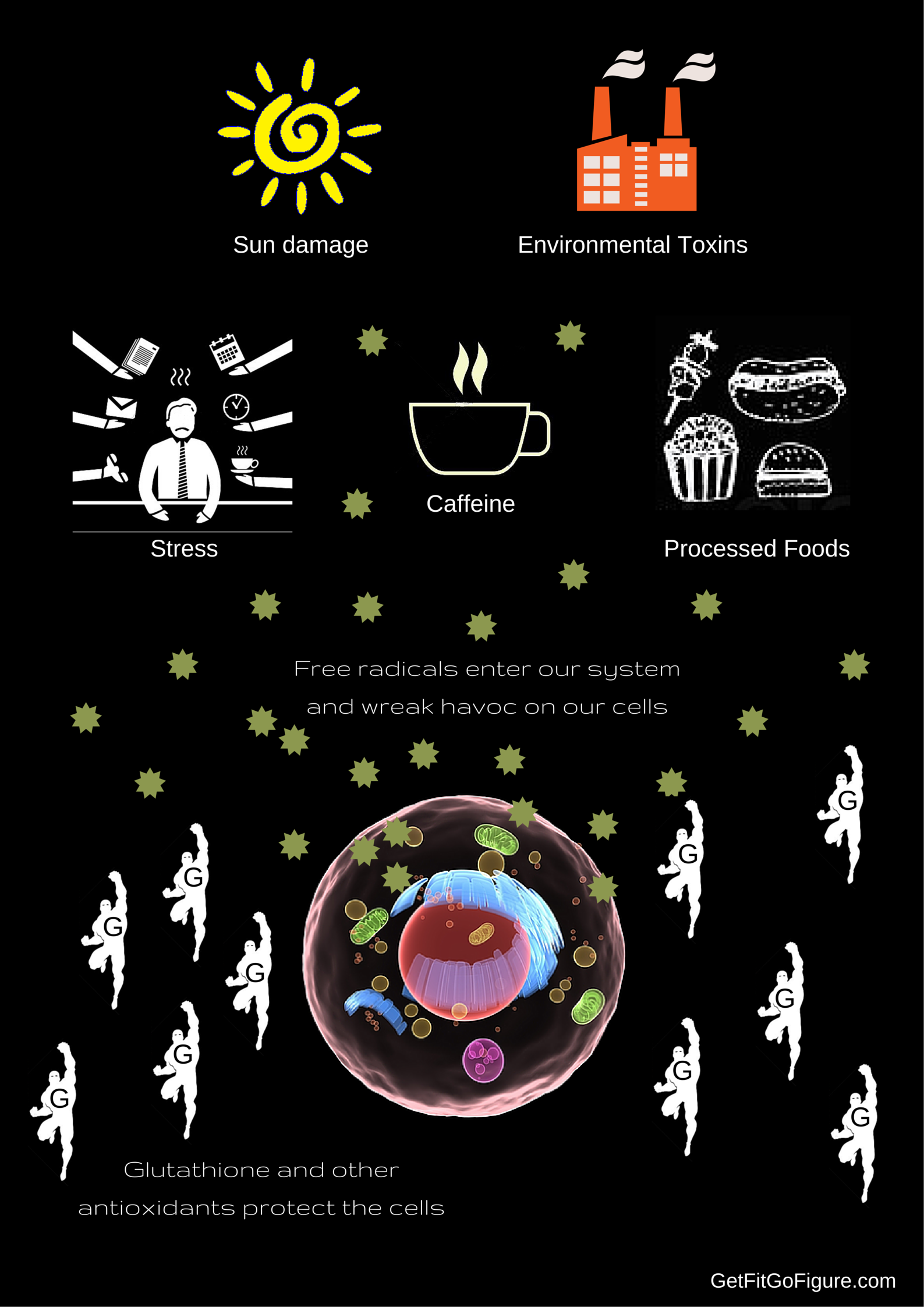 Glutathione | Get Fit. Go Figure!